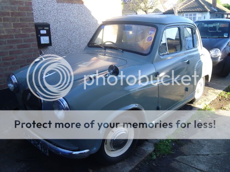 Seen anything interesting????